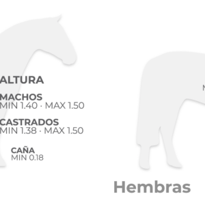Cuánto pesa un caballo?】