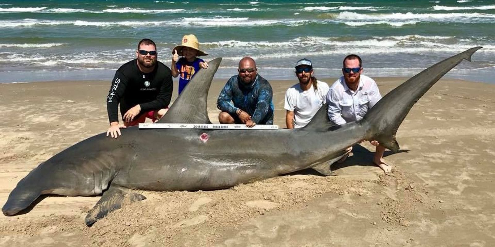 ¿Cuánto pesa el tiburón martillo?