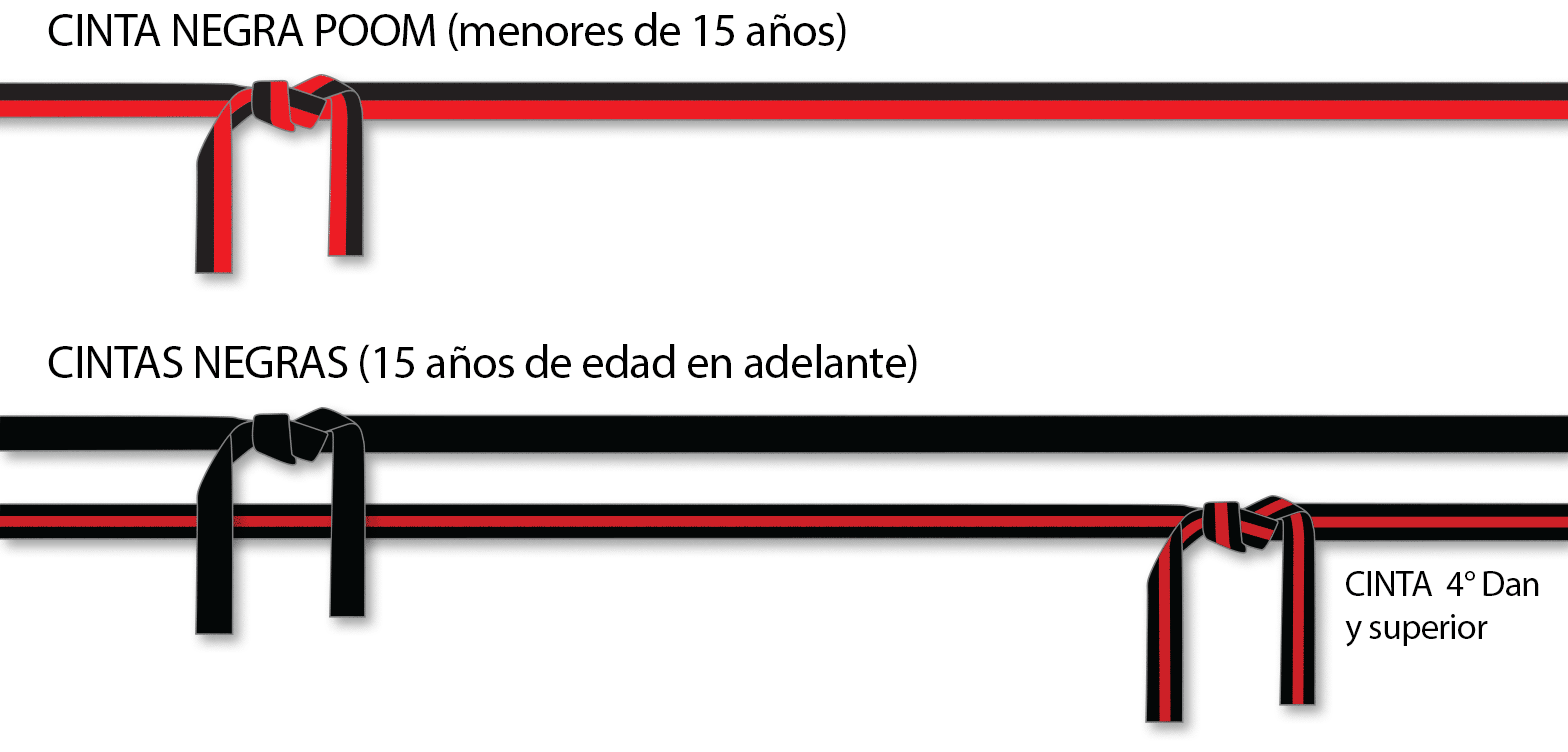 Cuántos dan hay en taekwondo?】