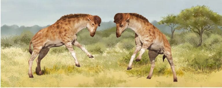 ¿Cuántos huesos tiene la jirafa?